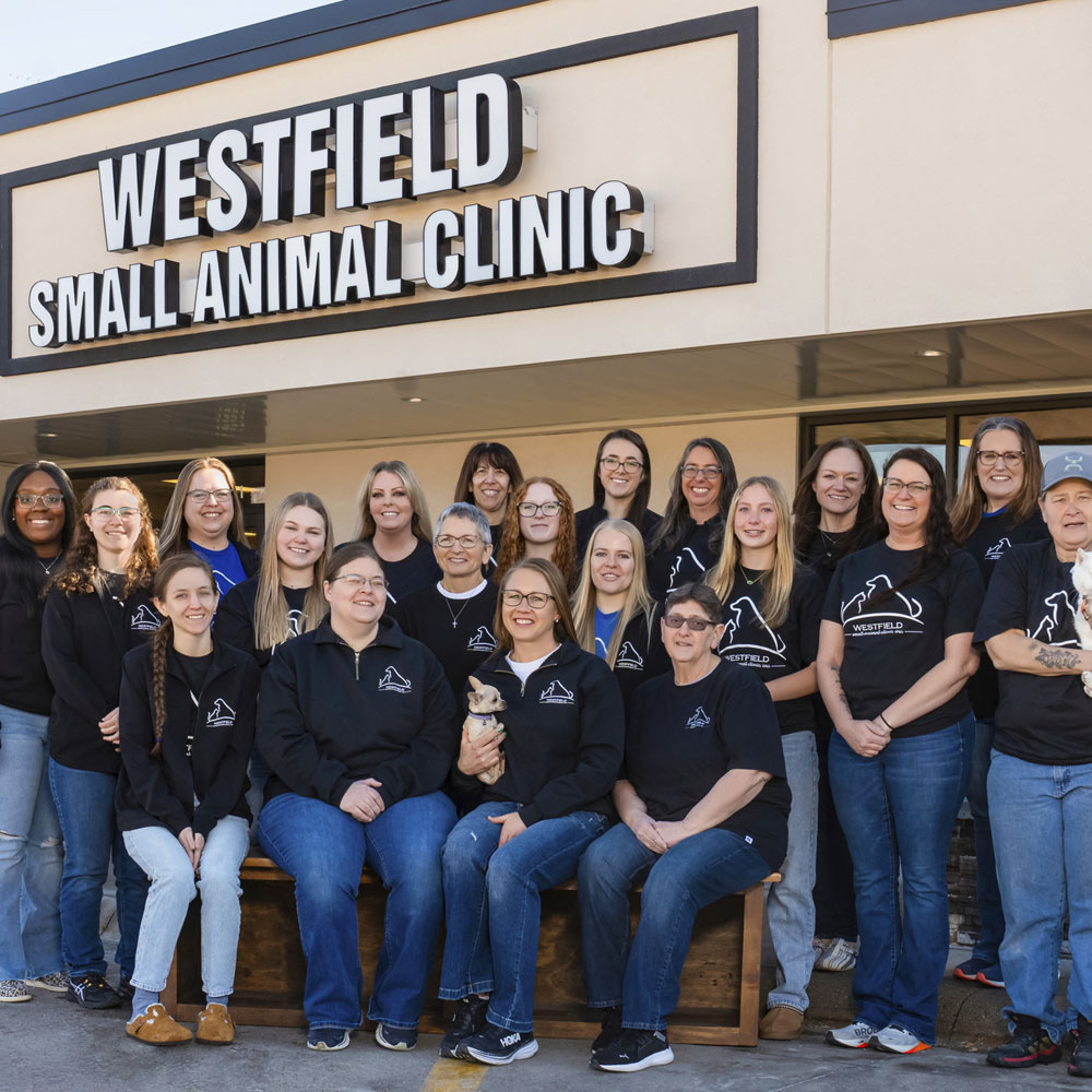 Veterinarian In North Platte, NE | Westfield Small Animal Clinic